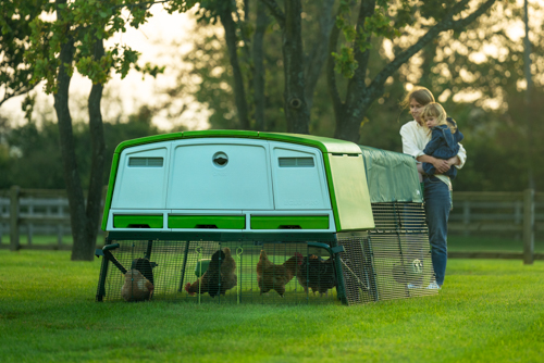 Eglu Pro – extra geräumiger Hühnerstall mit Auslauf | Omlet