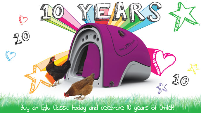 Chicken Coops | Chicken Houses | Hamster Houses | Rabbit Hutches ...
