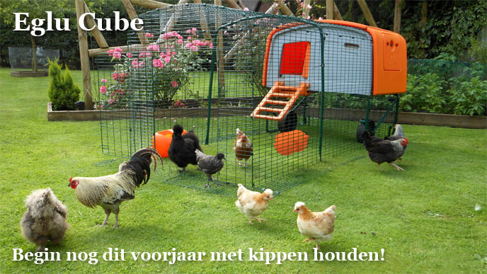 Prachtige kippenhokken, konijnenhokken en nog veel meer!