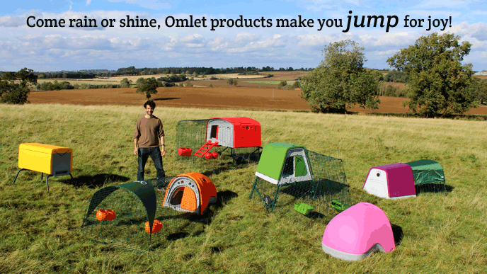 Beautifully Designed Pet Housing