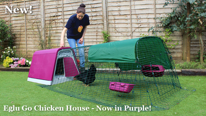 Beautifully Designed Pet Housing