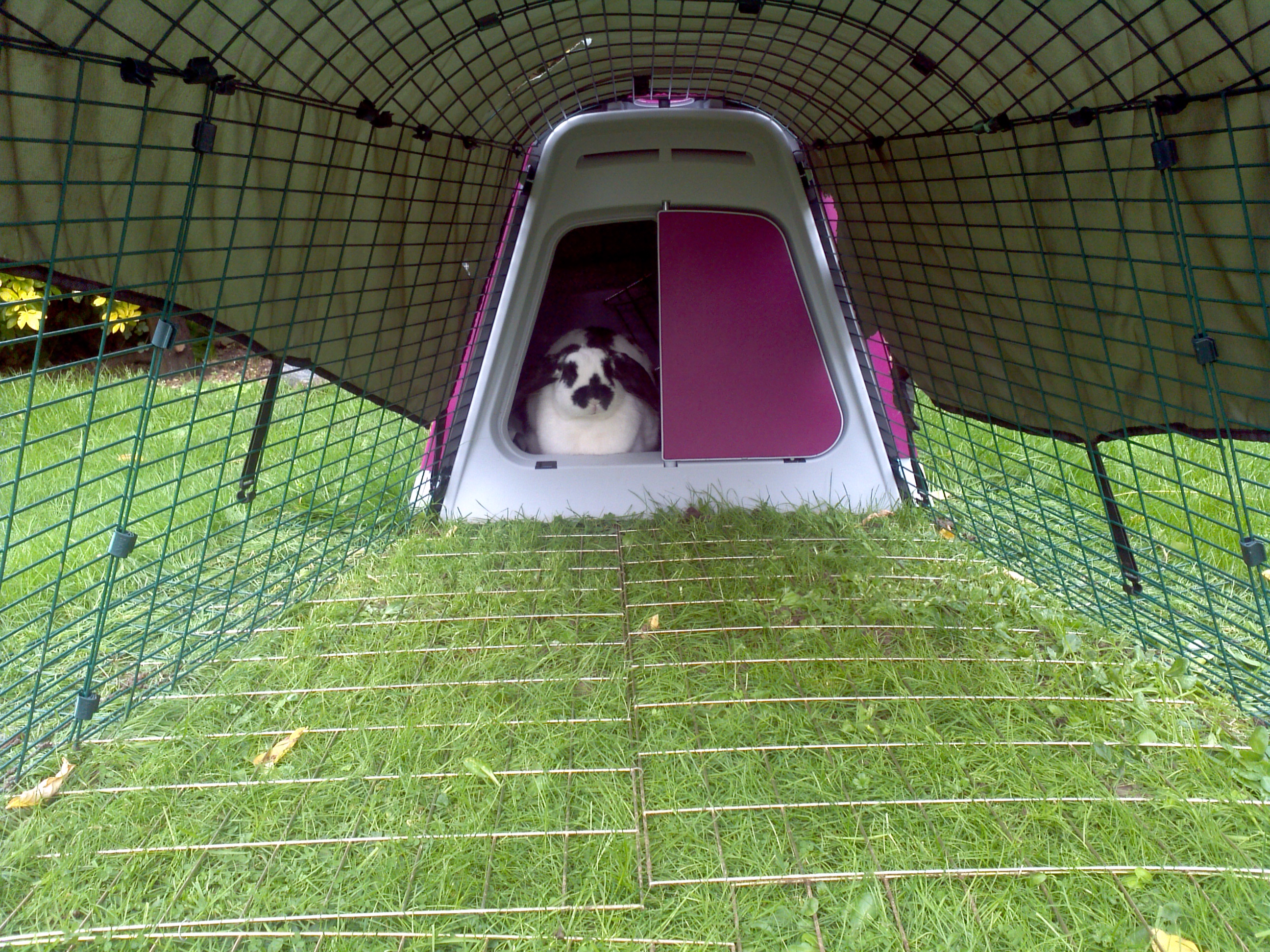 Kaninchenstall "Eglu Go Rabbit Hutch" | Kaninchen | Omlet